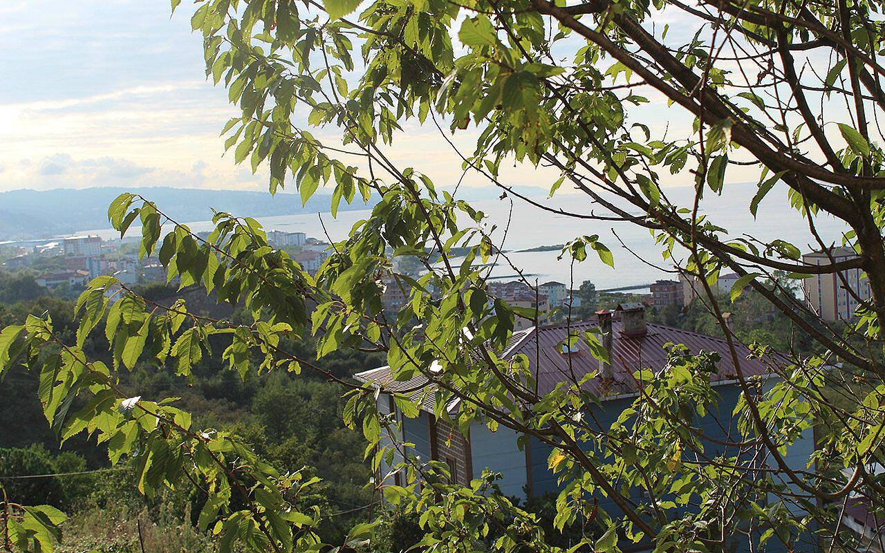 Spacious Plot with Construction Permit in Arsin Trabzon